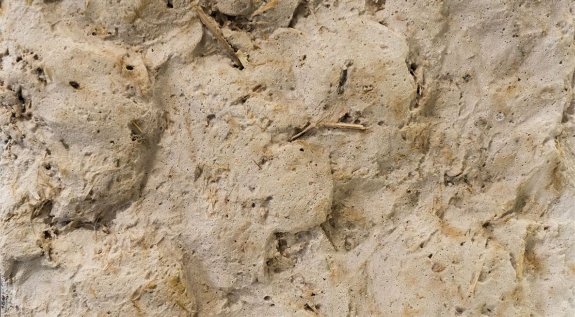 Lumpy Bespoke Decorative Coating • Colortek